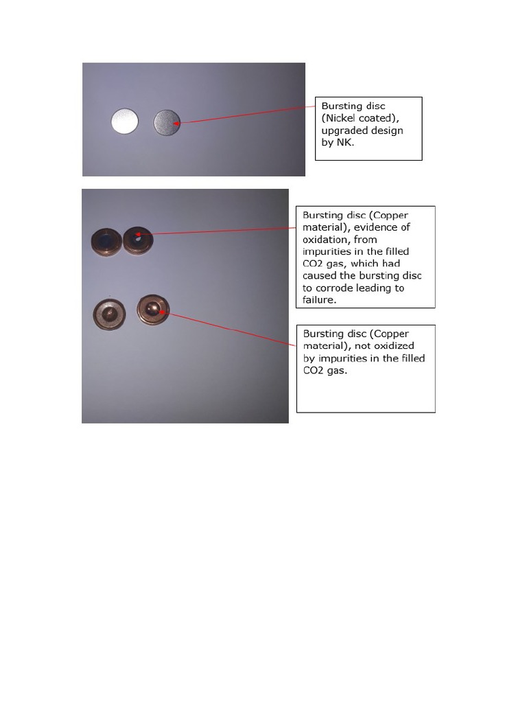 NK Burst Discs | PDF