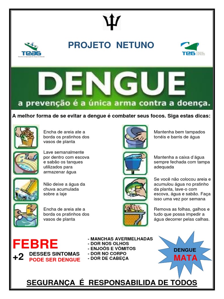 Informativo Da Dengue | PDF