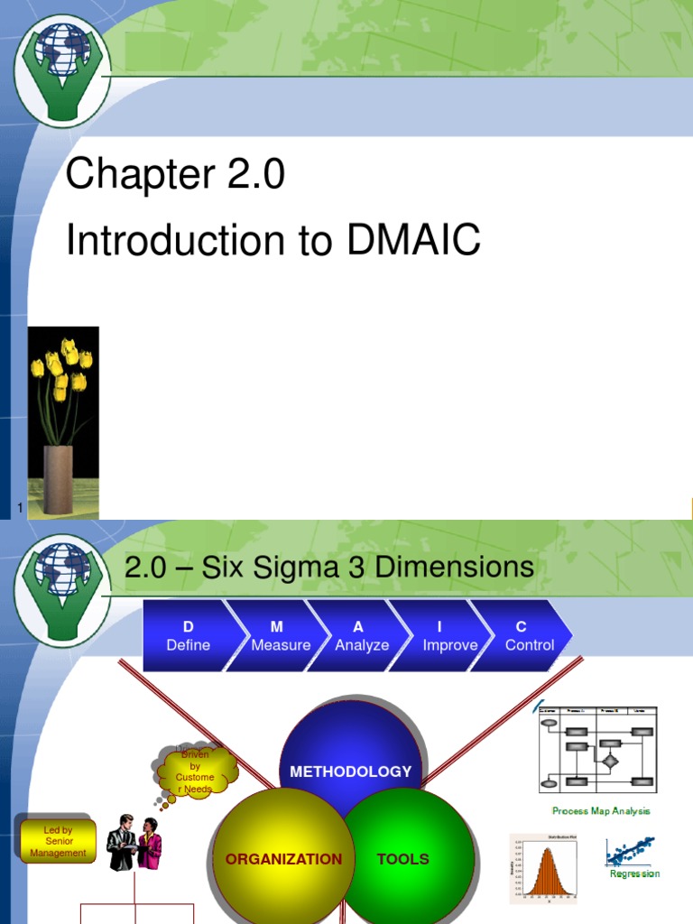 Chapter 2.0 Introduction To DMAIC | PDF | Six Sigma | Business