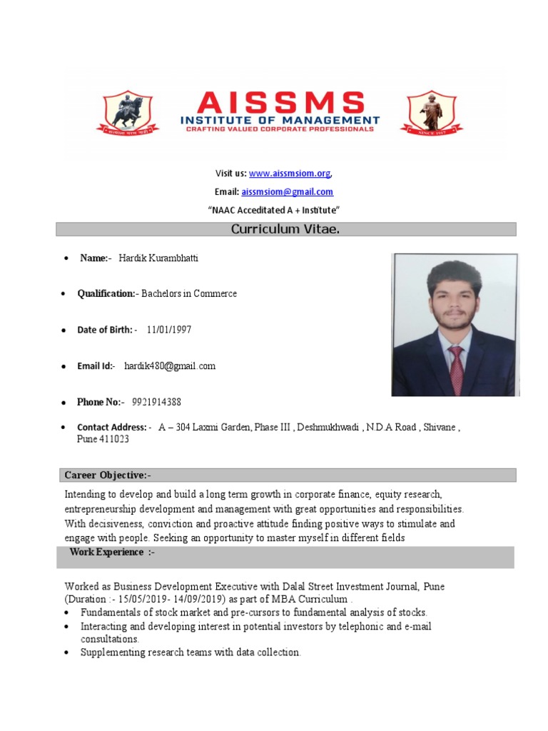 International CV Format Example | PDF