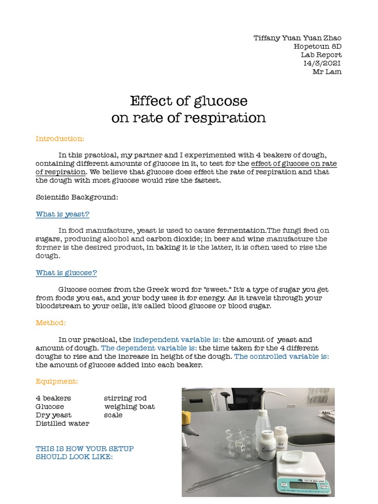 Lab Report | PDF | Glucose | Yeast