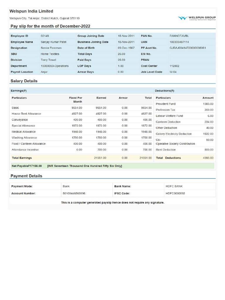 Payslip | PDF