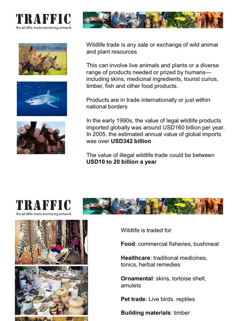 International wildlife trade and the work of TRAFFIC, the wildlife ...