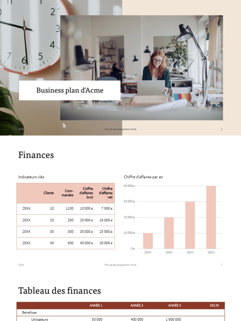 Business Plan Générique Acme | PDF