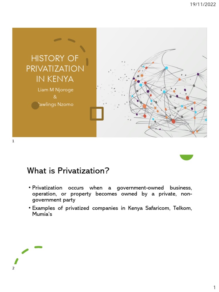 History of Privatization in Kenya | PDF | Finance & Money Management | Law