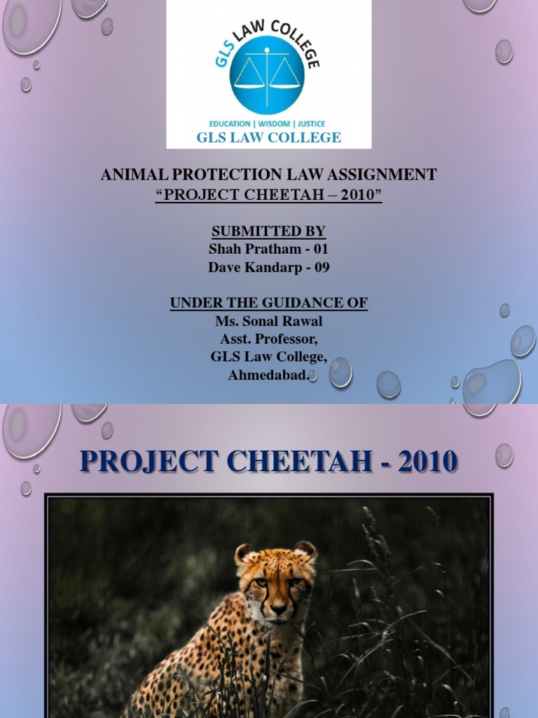 Project Cheetah Animal | PDF | Organisms | Environmental Conservation