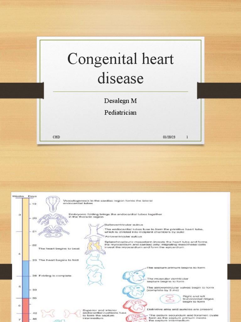 CHD D | PDF | Congenital Heart Defect | Ventricle (Heart)