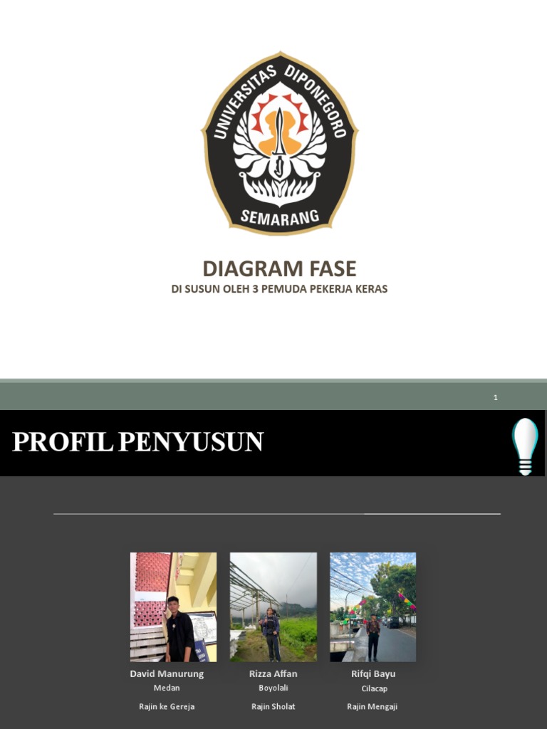 Diagram Fase | PDF
