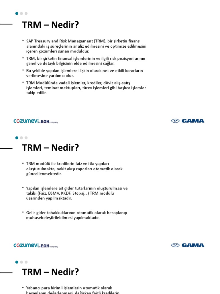 SAP TRM Sunumu | PDF
