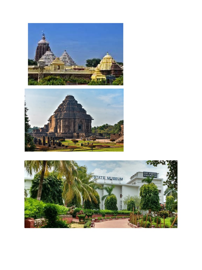 Odisha Project | PDF