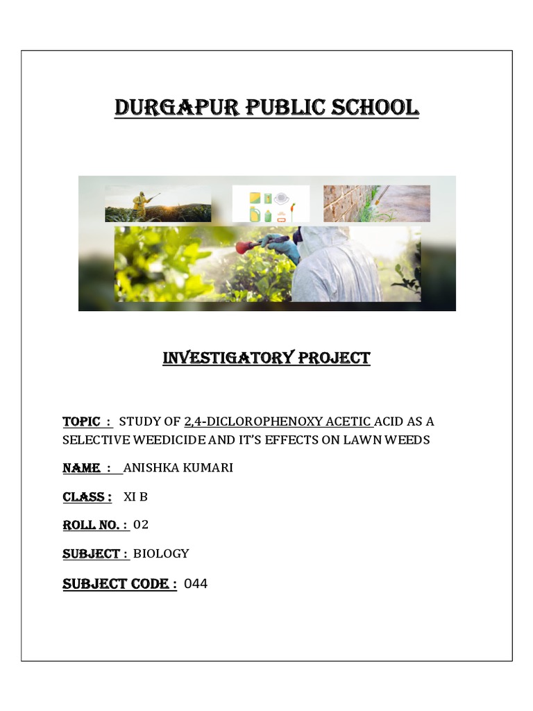 Projects - DPS | PDF