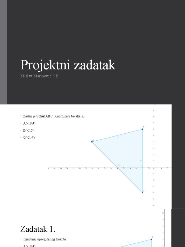 Projektni Zadatak | PDF