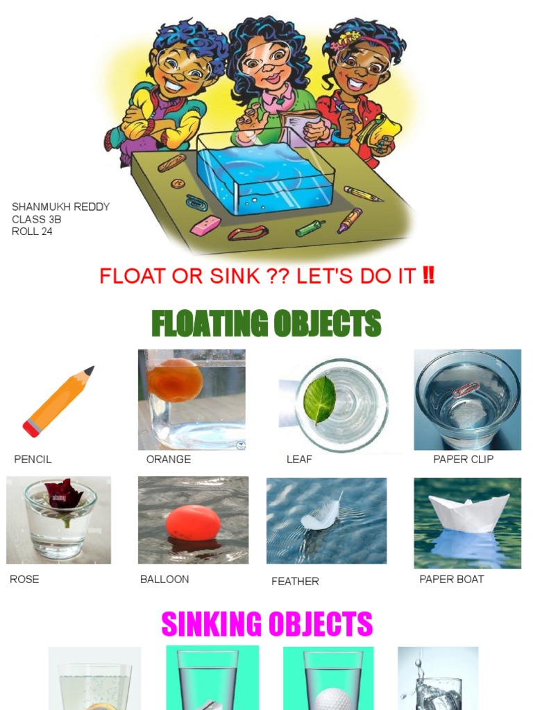 Project Float and Sink | PDF