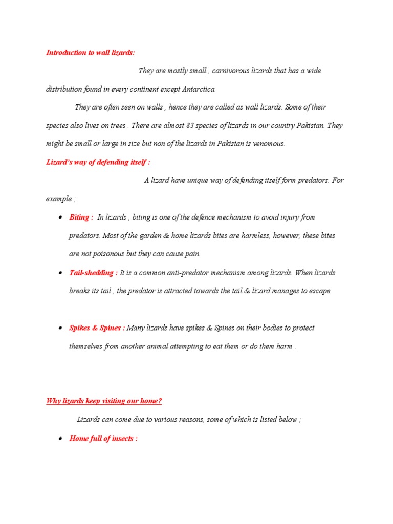 A Comprehensive Guide to Wall Lizards and Effective Methods for ...