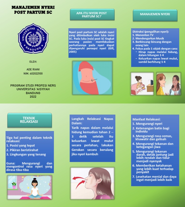 PAMFLET Post Partum SC | PDF
