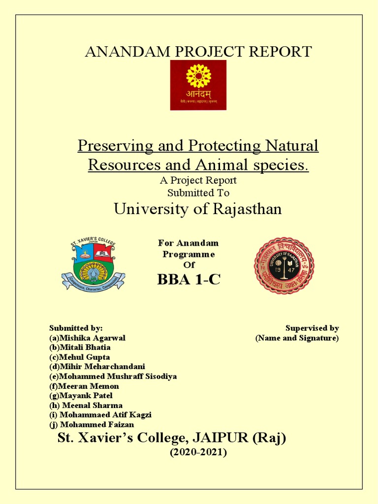 Social Work Project | PDF | Wellness