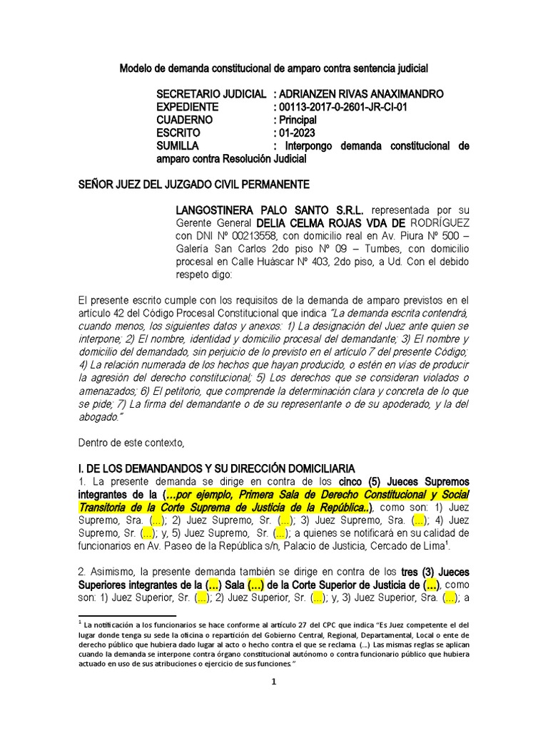 Modelo Demanda Amparo Contra Resolucion | PDF | Ley procesal | Demanda ...