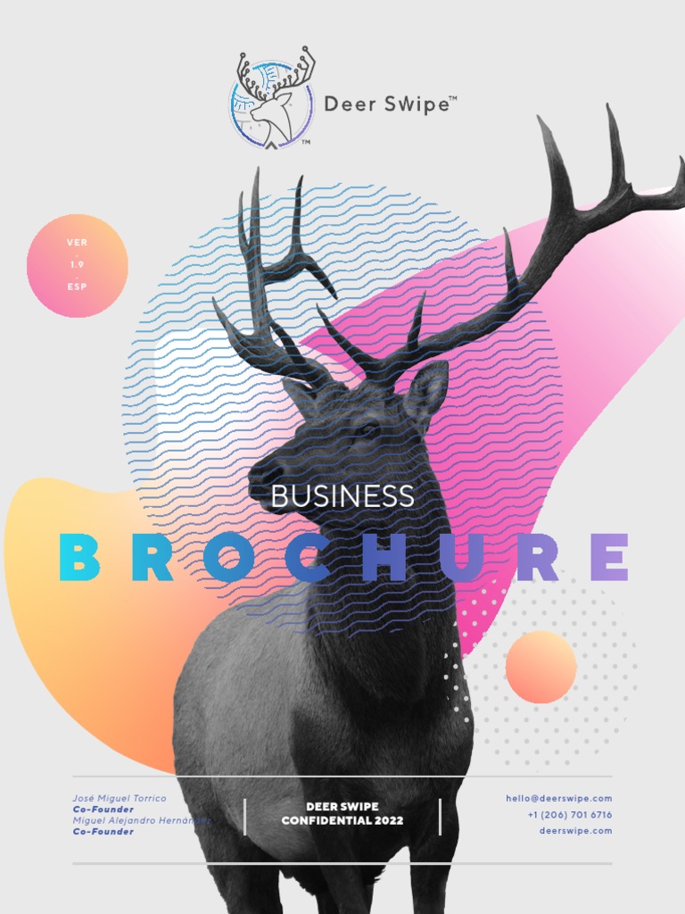 Brochure DeerSwipe | PDF | Marketing | Iniciativa empresarial