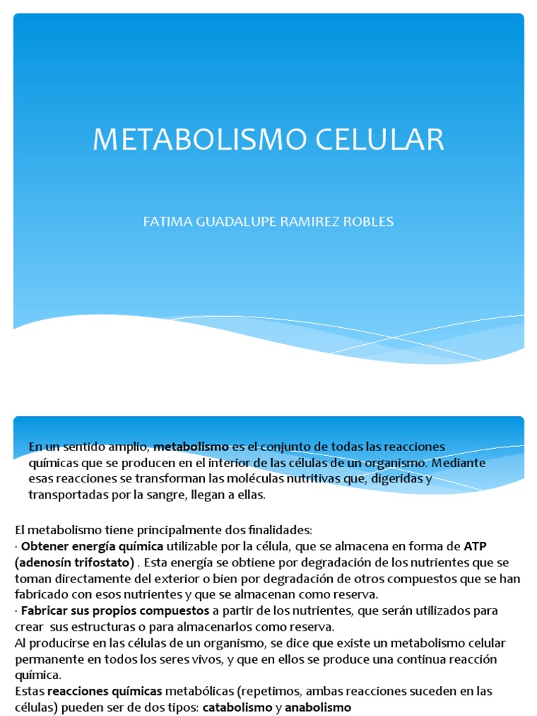 Metabolismo Celular | PDF | Metabolismo | Trifosfato de adenosina