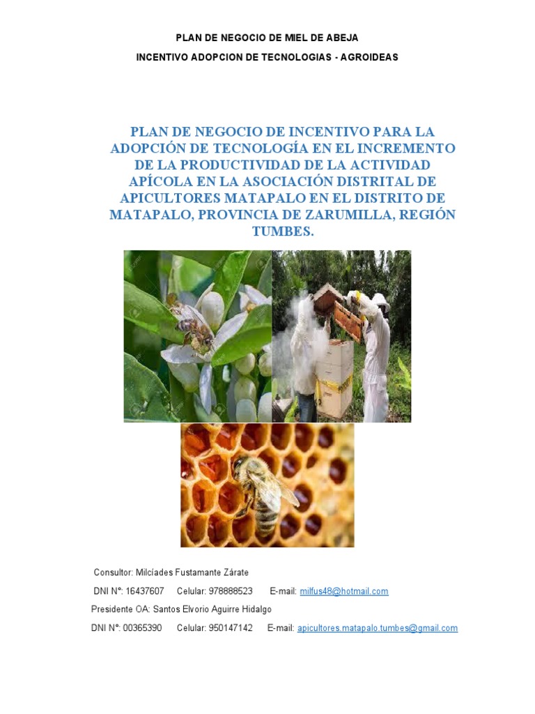 Plan de Negocio de Miel de Abeja | PDF | Apicultura | Colmena