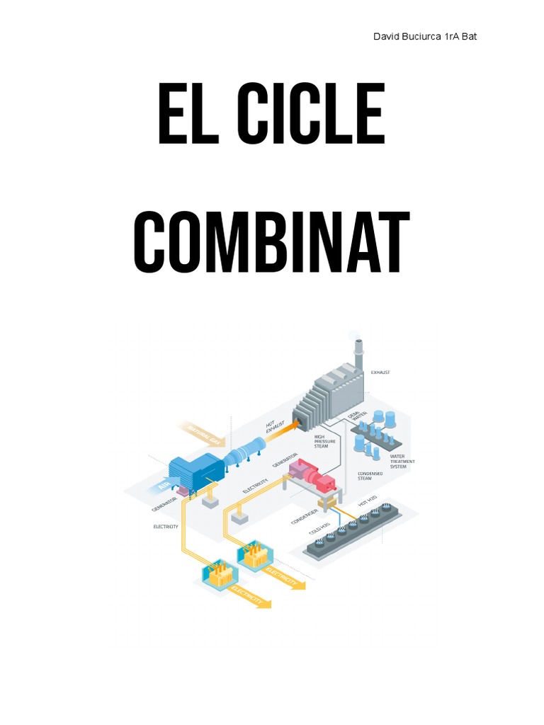 Cicle Combinat | PDF