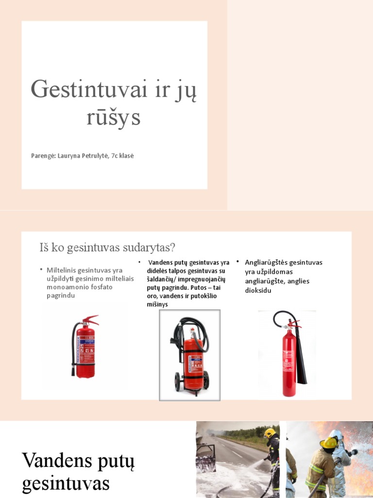 Gesintuvai Ir Ju Rusys | PDF