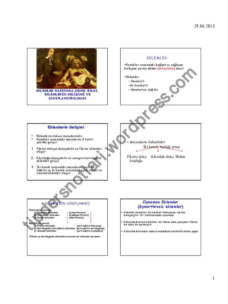 Eklemler Hakkinda Genel Bi̇lgi̇ Uyumluluk Modu Pdf 