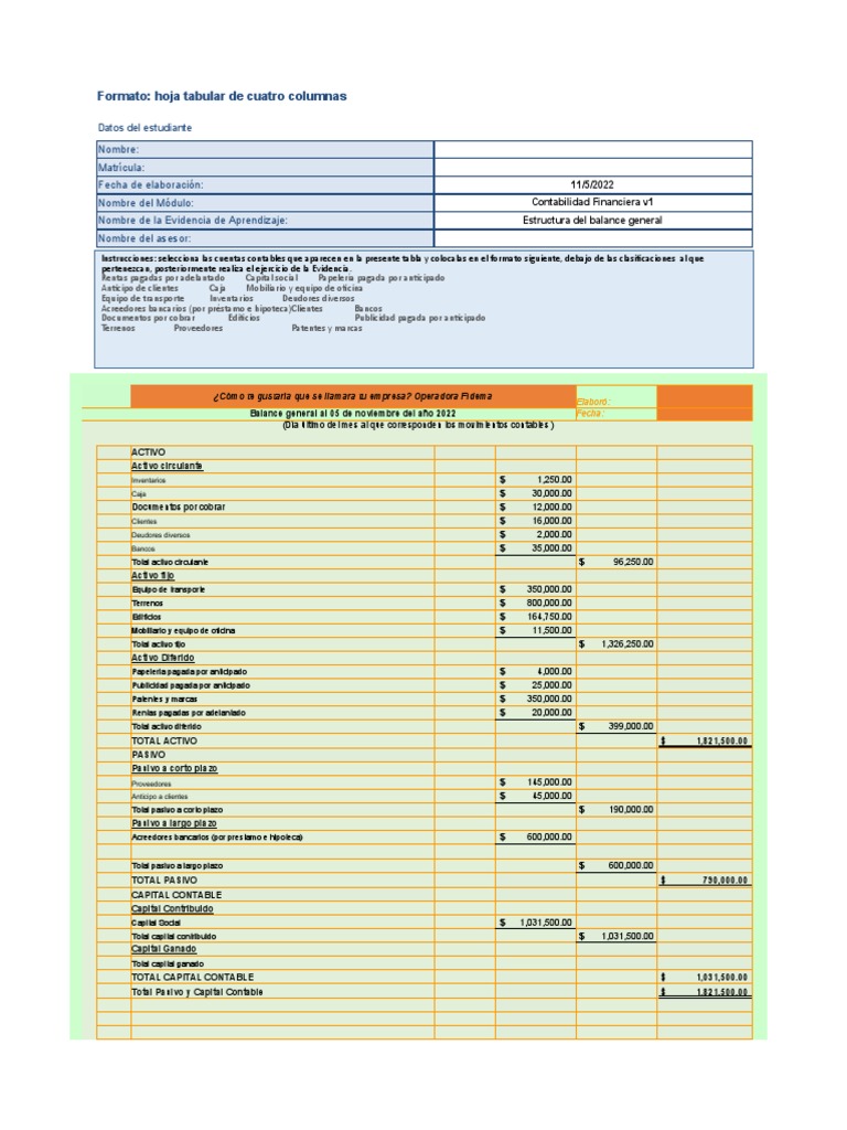 Estructura Del Balance General | PDF | Contabilidad | Corporaciones