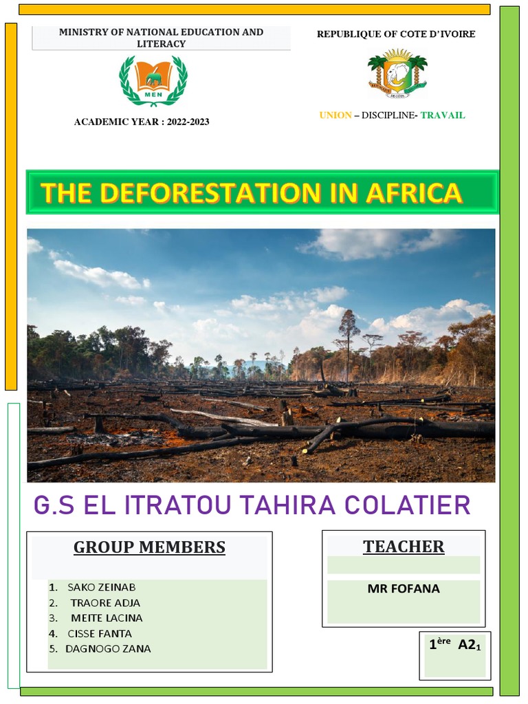 Deforestation in Africa | PDF | Deforestation | Climate Change