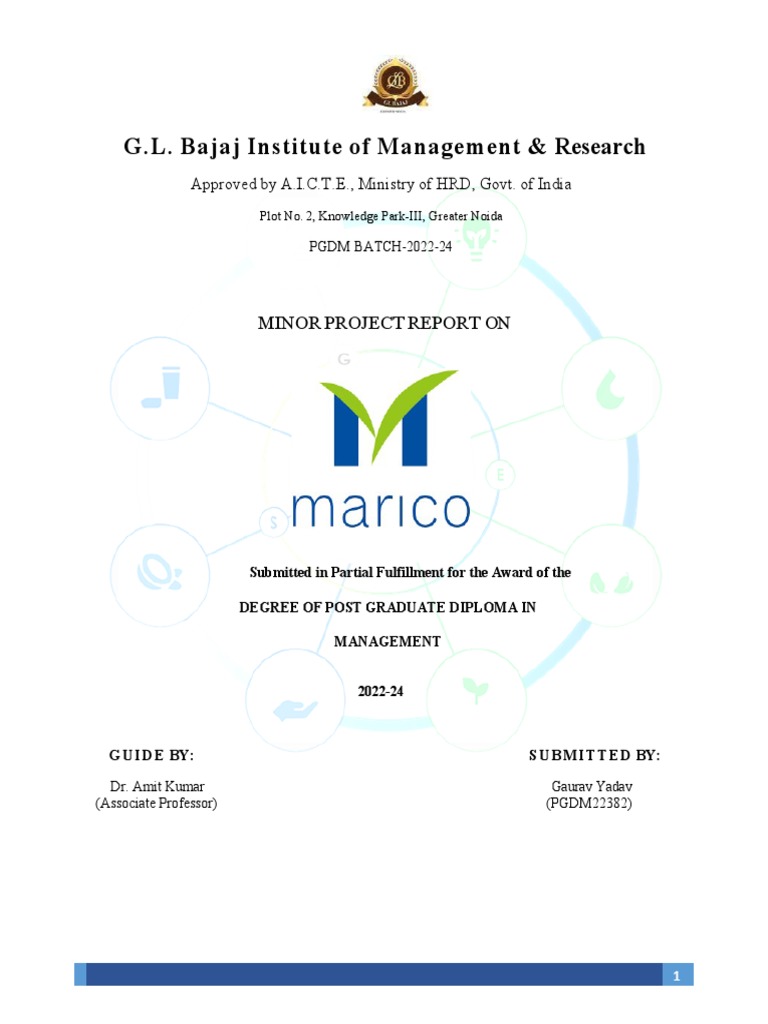 Minor Project 2 Gaurav Yadav PGDM 22382 2022-24 | PDF | Sustainability | Economic Development