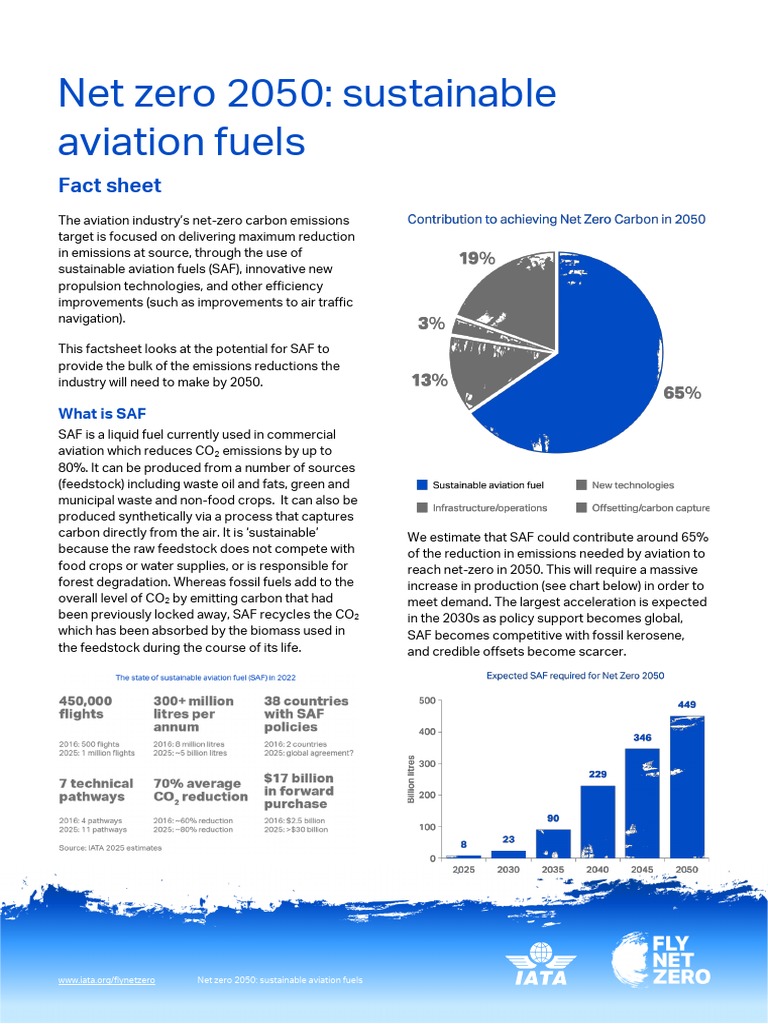 Net Zero 2050: Sustainable Aviation Fuels | PDF | Low Carbon Economy ...
