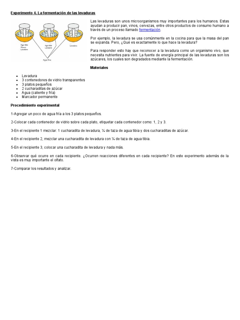Experimento 4 | PDF