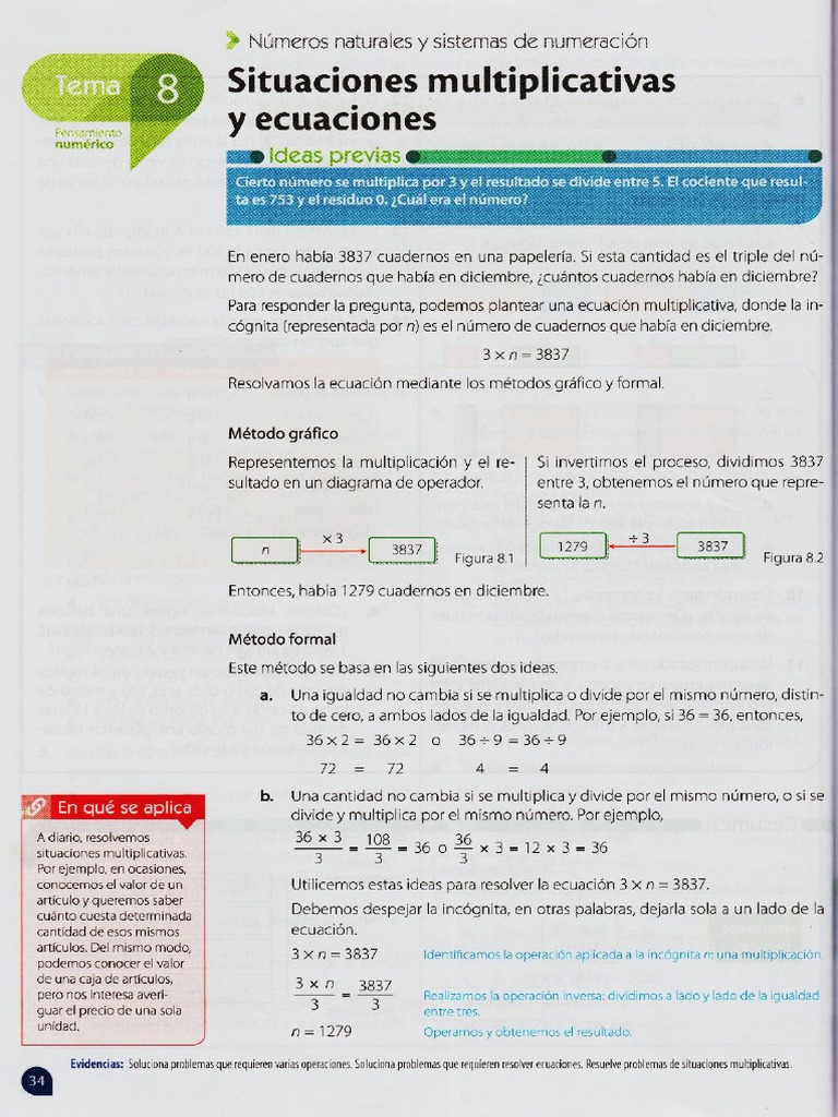 Tema 8. Grado 6 | PDF