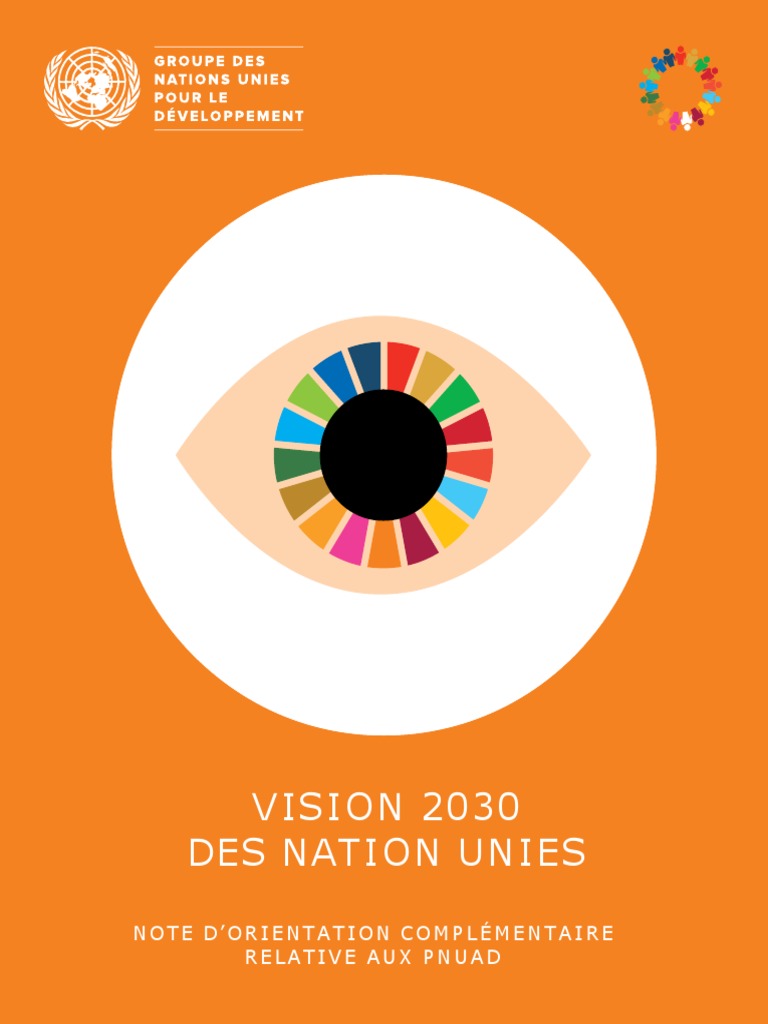 UNDG UNDAF Companion Pieces 3 Vision 2030 Des Nation Unies | PDF | Affaires