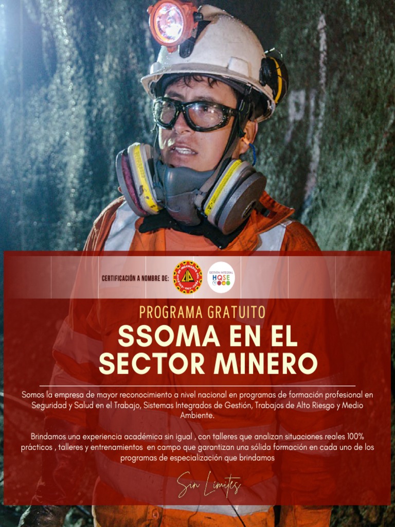 Programa Libre SSOMA Mineria | PDF | Economias