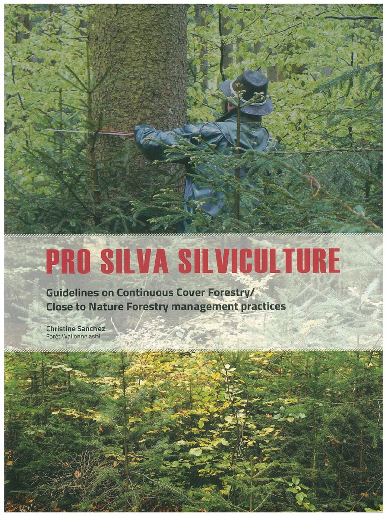 Pro Silva Silviculture | PDF