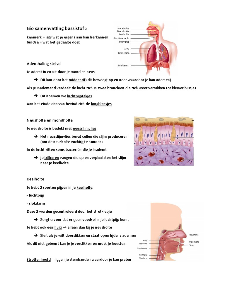 Bio Samenvatting Bassistof 3 | PDF