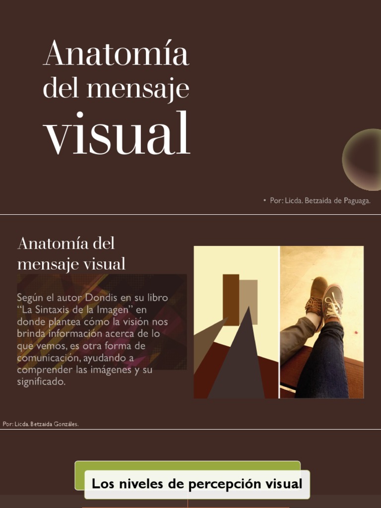 Anatomía Del Mensaje Visual | PDF