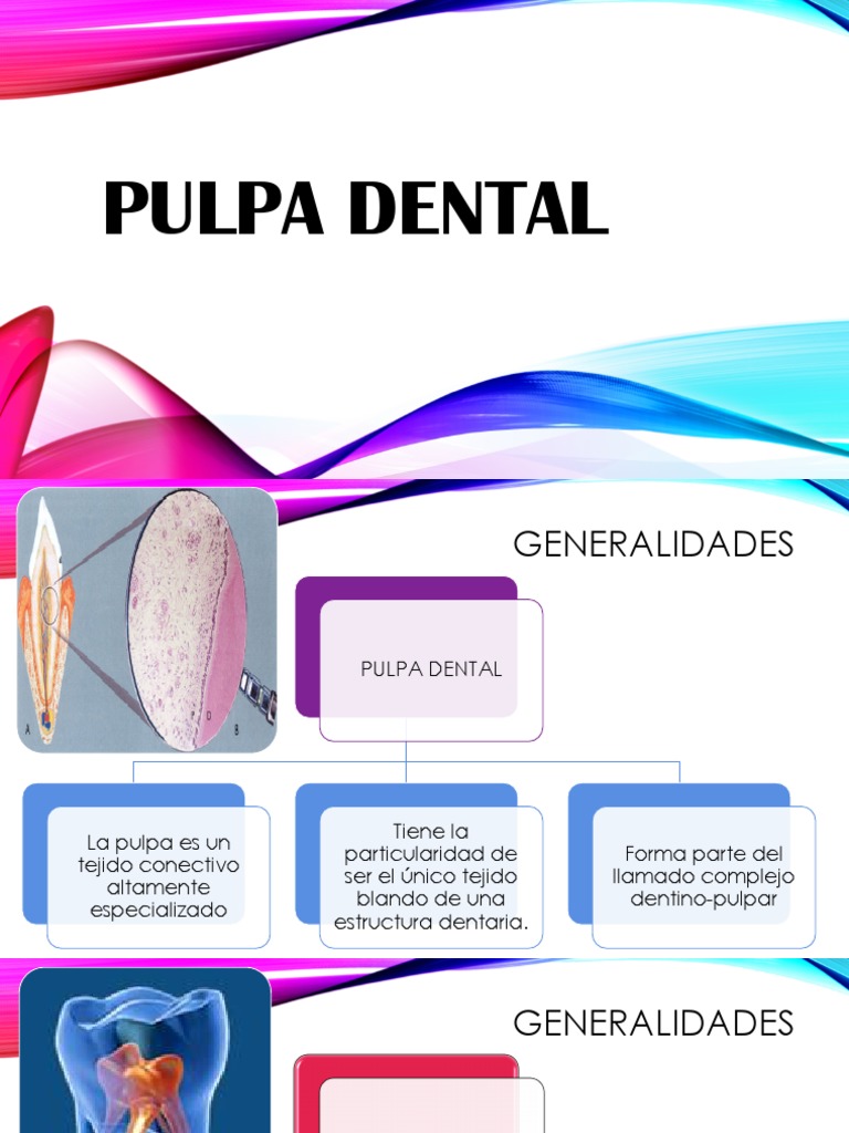 Pulpa Dental | PDF | Sistema inmune | Inflamación