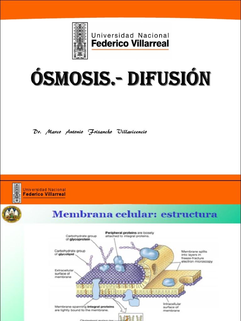 ÓSMOSIS. DIFUSIÓN Práctica | PDF
