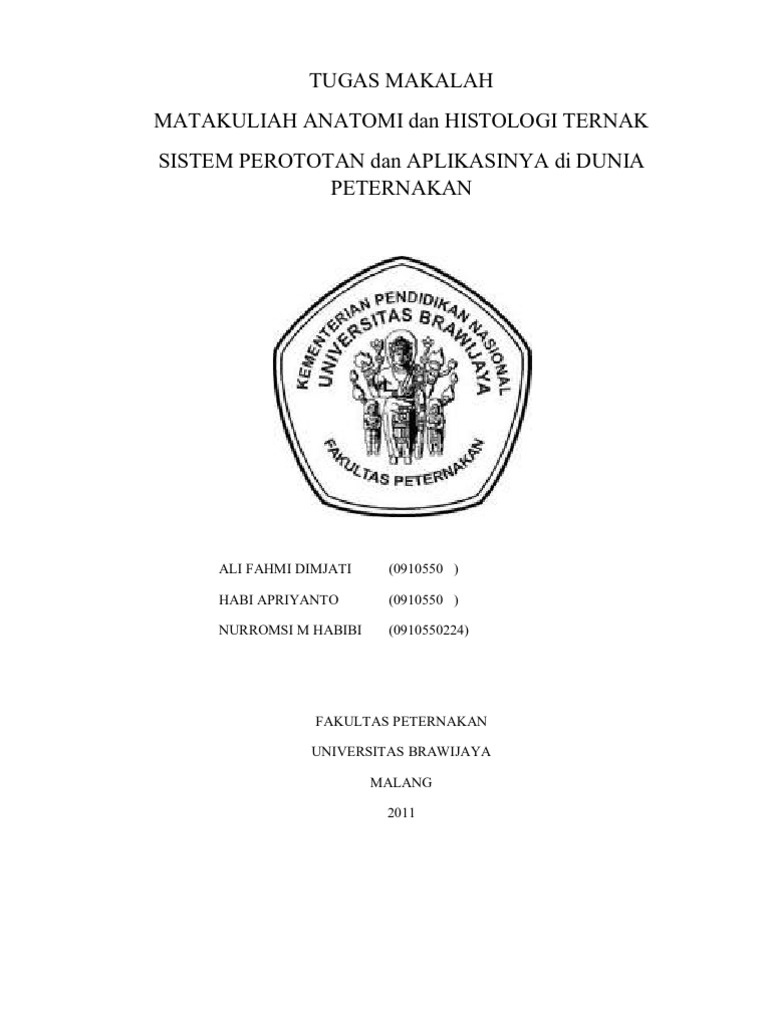 Anatomi Otot Sapi | PDF