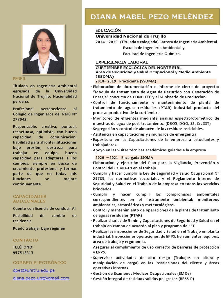 CVDiana Mabel Pezo Meléndez | PDF