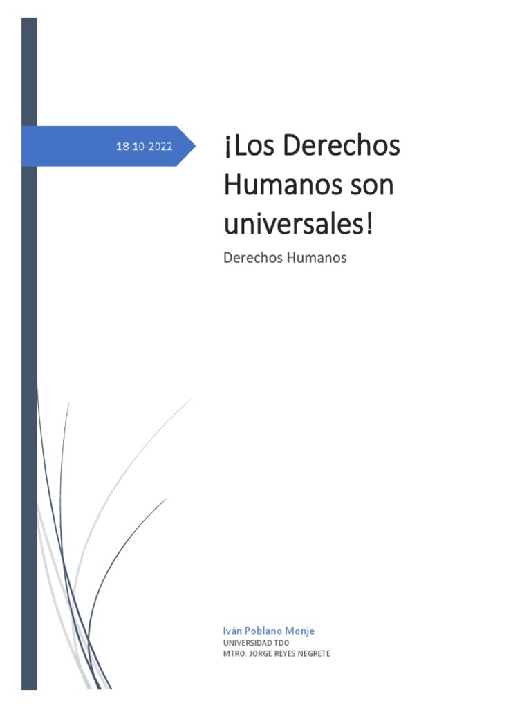 Ensayo Es Correcto Decir Que Los Derechos Humanos Son Universales Ivan ...
