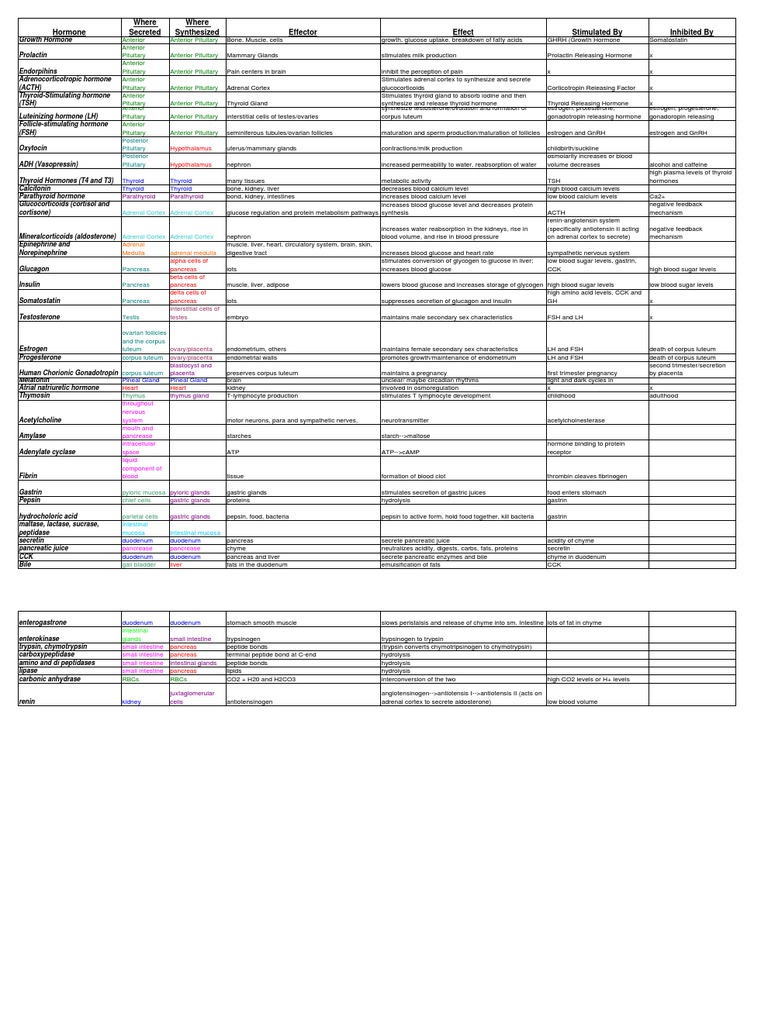 MCAT Hormones Overview and Functions | PDF | Luteinizing Hormone ...