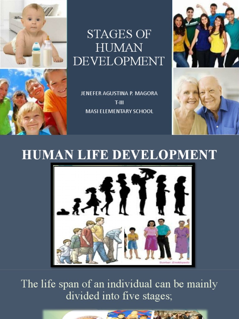 Stages of Human Developmentgrade 4 | PDF