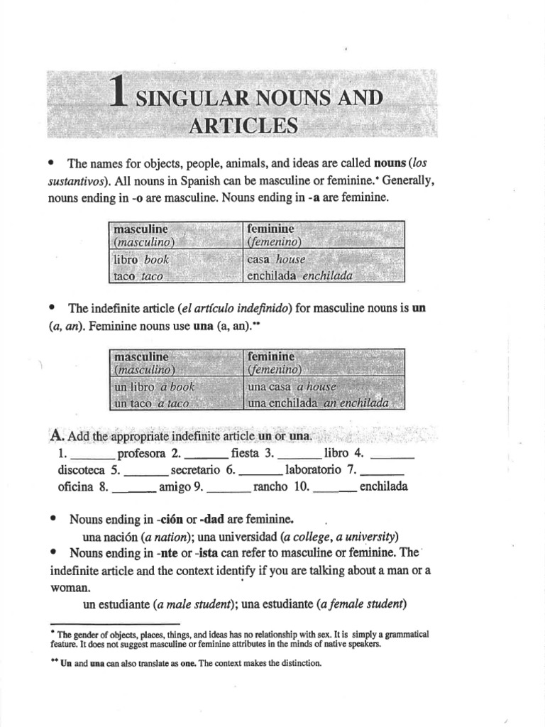 Spanish Activities - 01 - Singular Nouns and Articles | PDF