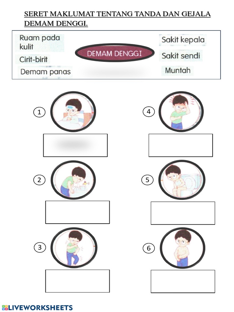 Latihan Tanda Demam Denggi | PDF