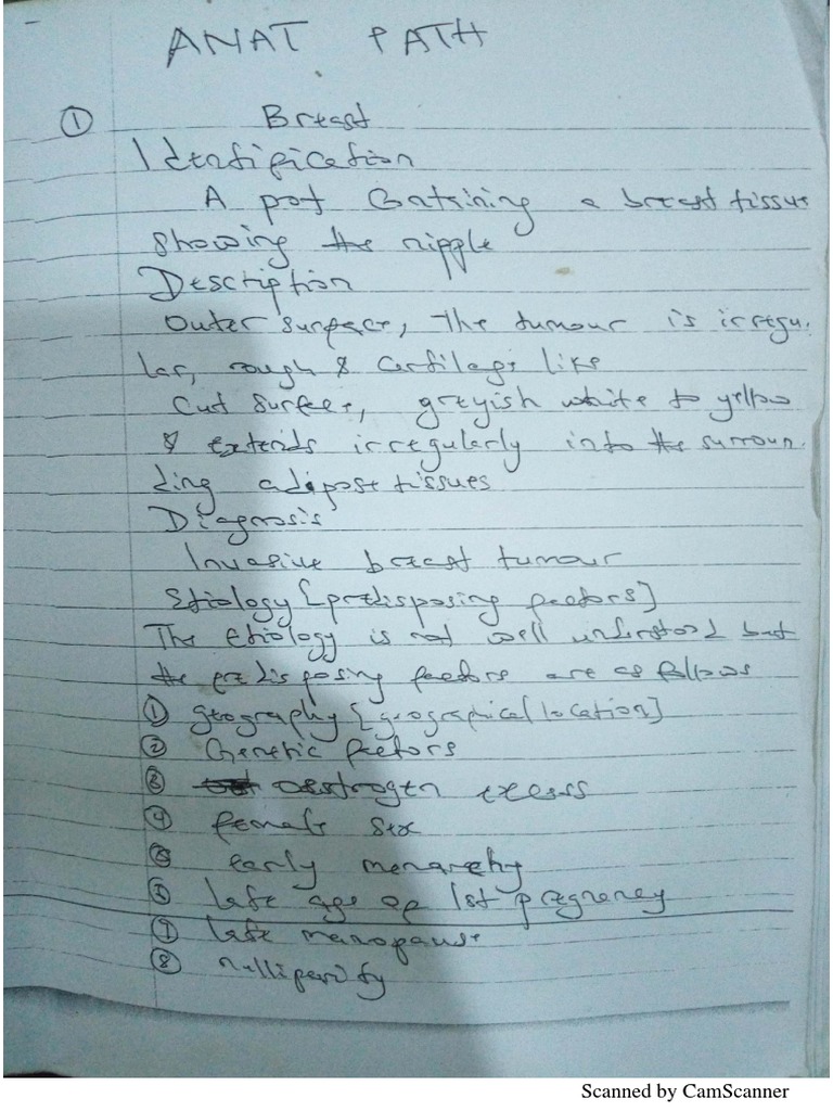 Anat Path Practical Answer.-1 | PDF