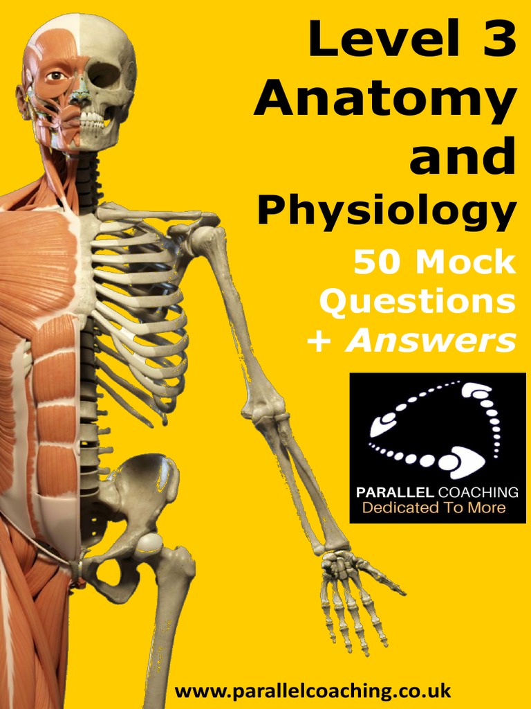 Level 3 Anatomy and Physiology 50 Mock Questions + Answers | PDF ...