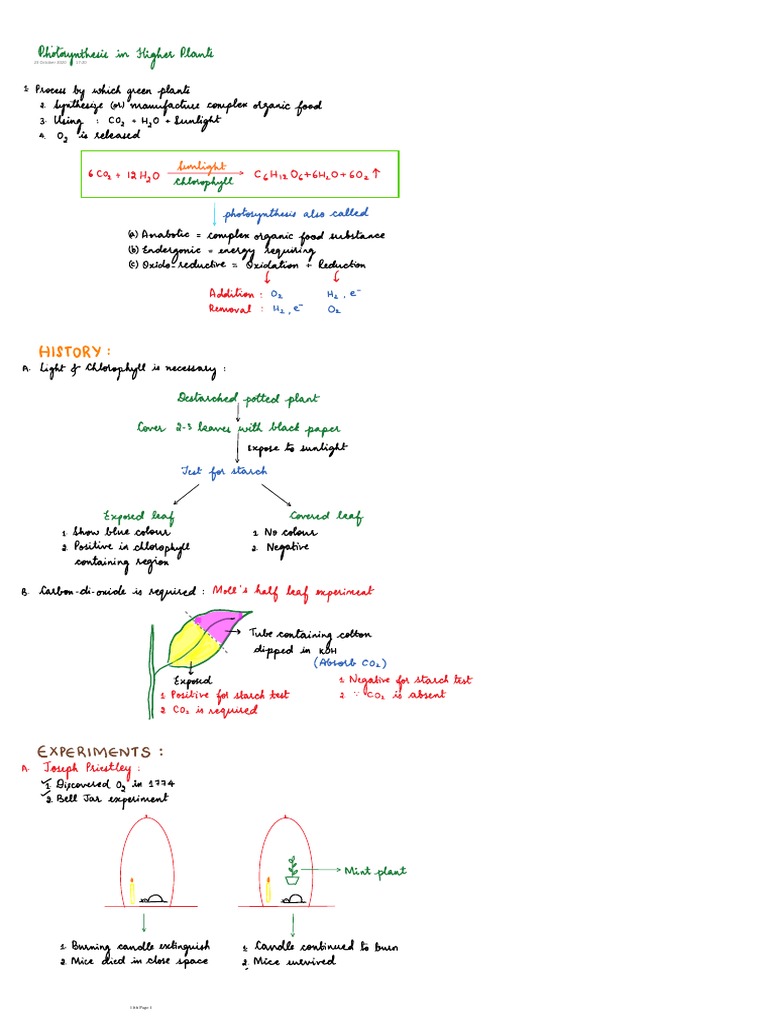 Photosynthesis in Higher Plants | PDF